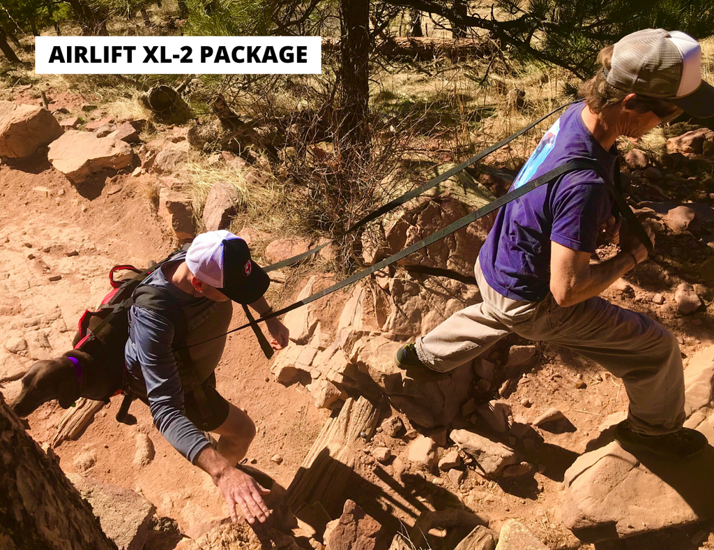 The Airlift - K9 Rescue Sling – Fido Pro