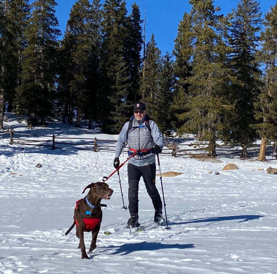 Remi Runner Leash – Fido Pro