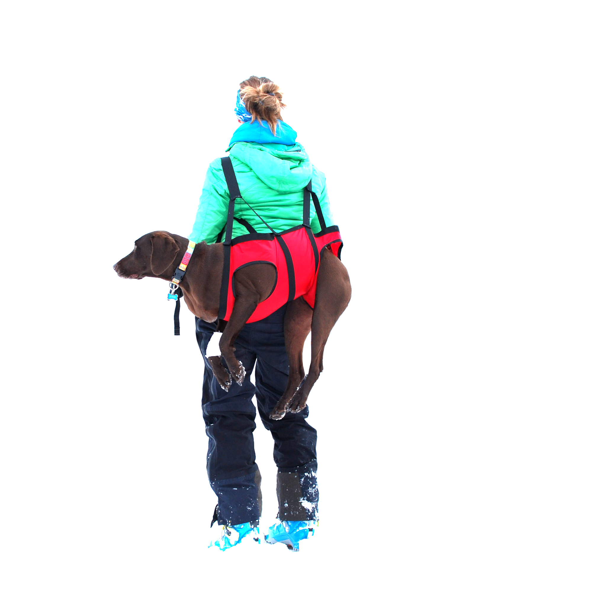 The Airlift - K9 Rescue Sling – Fido Pro