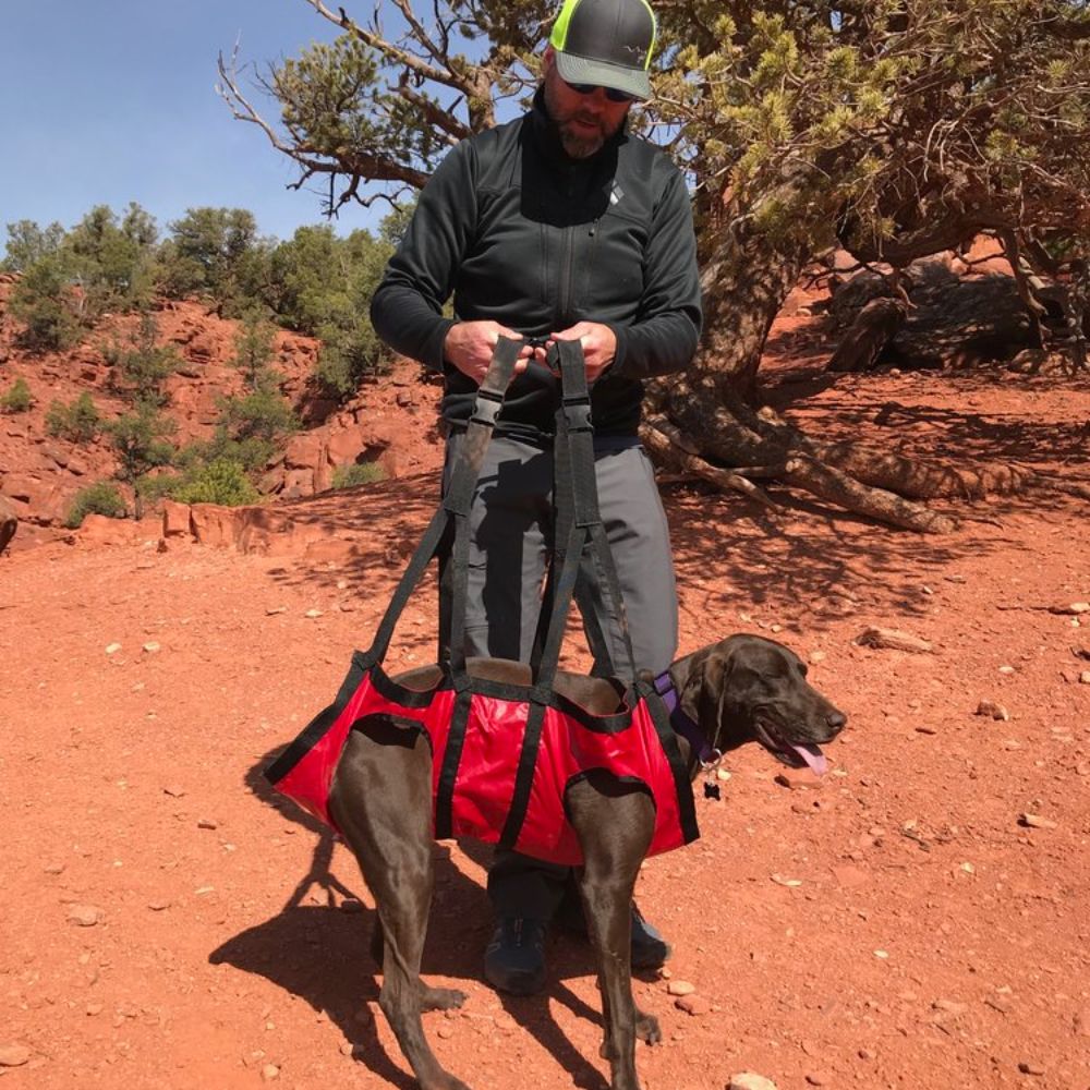 The Airlift - K9 Rescue Sling – Fido Pro