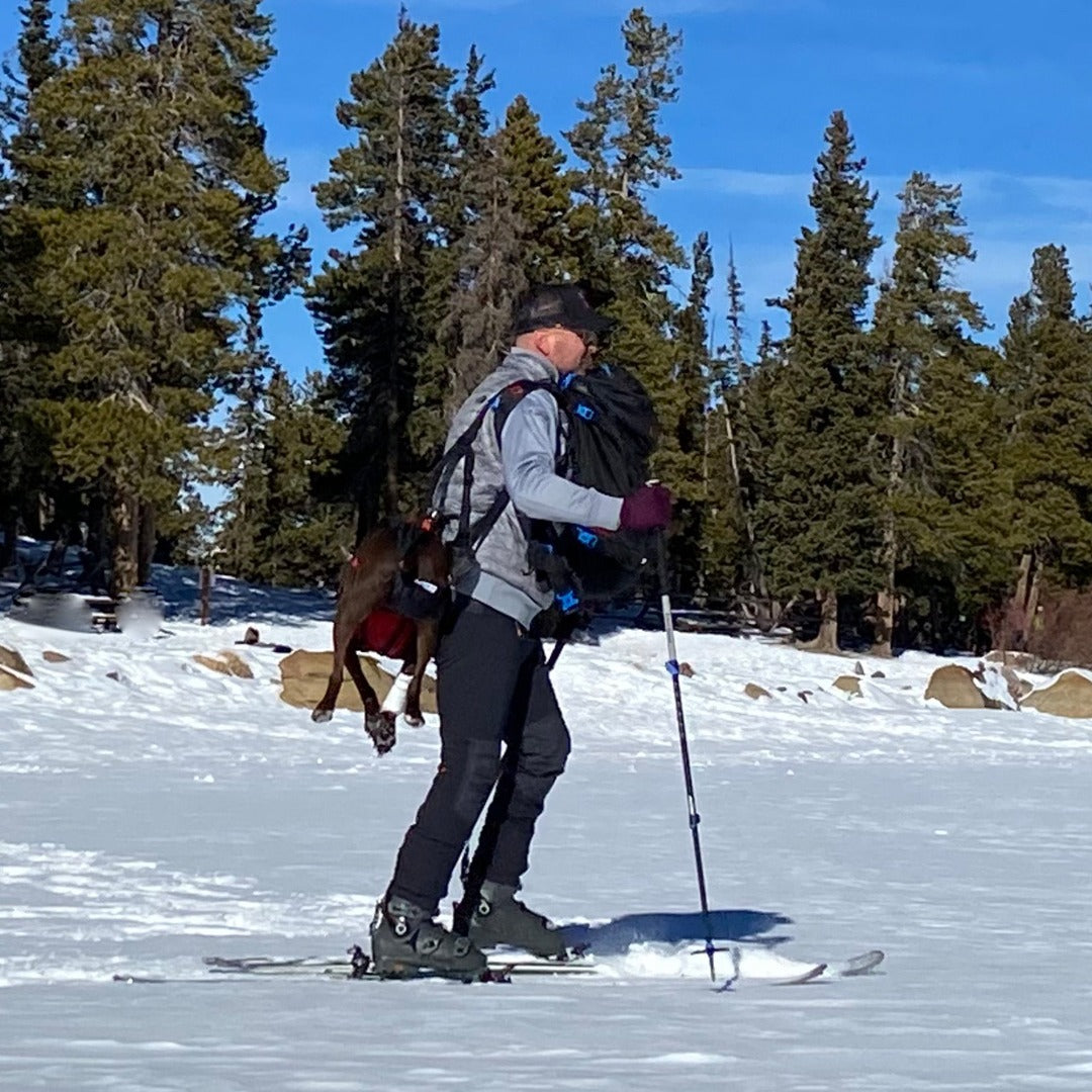 The Panza Harness with Deployable Emergency Dog Rescue Sling – Fido Pro