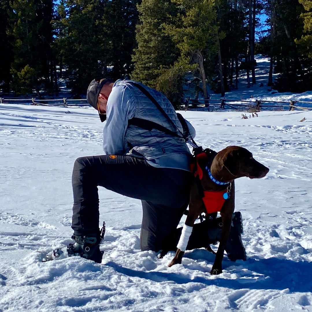 The Panza Harness with Deployable Emergency Dog Rescue Sling – Fido Pro
